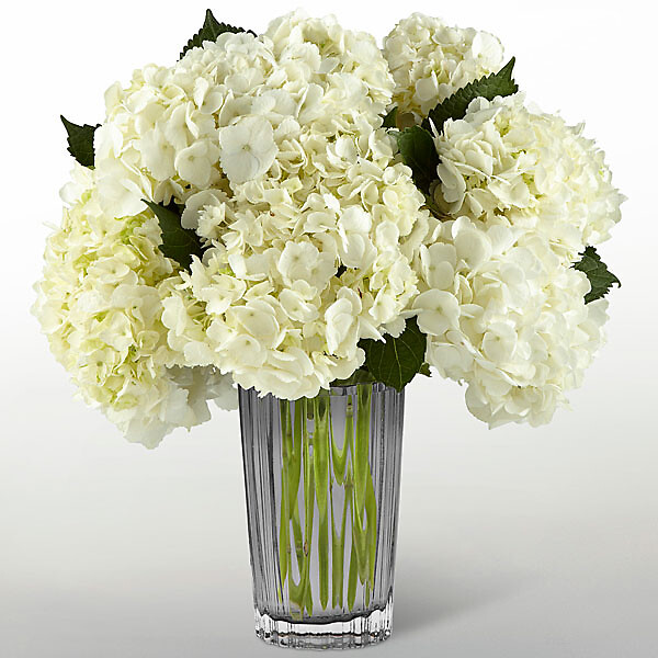 The Ivory Hydrangea Bouquet by Aversa's arranged by a florist in ...